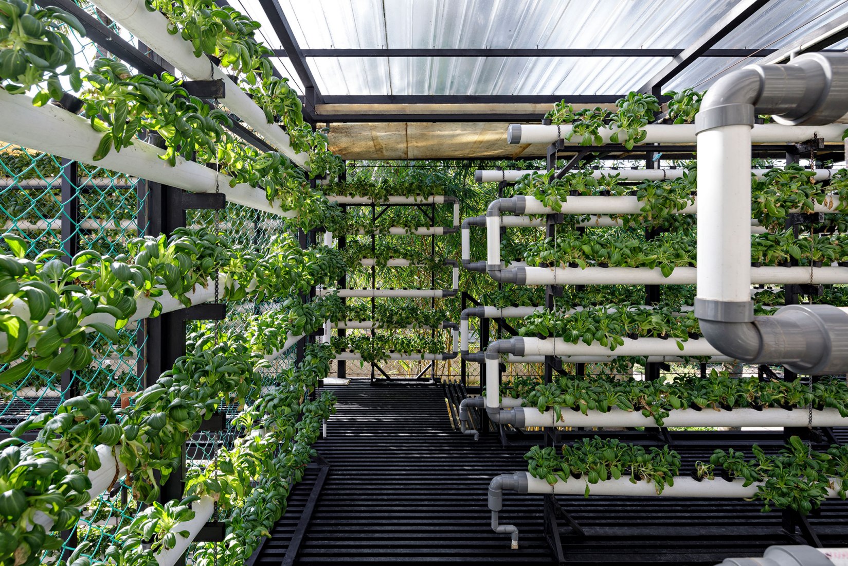 More than a sustainable prototype. Expandable House by ETH Zurich ...