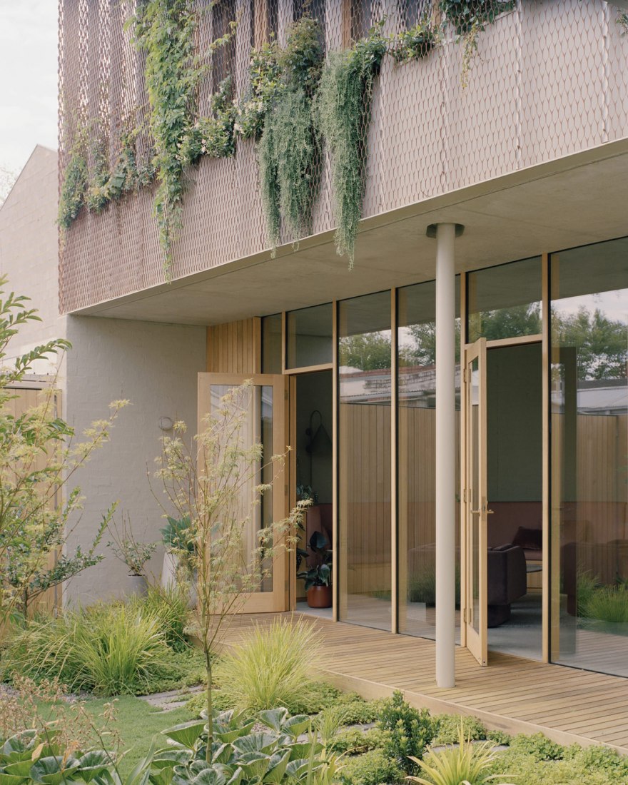 Dialogue with an elm tree and northern light. Autumn House by Studio ...