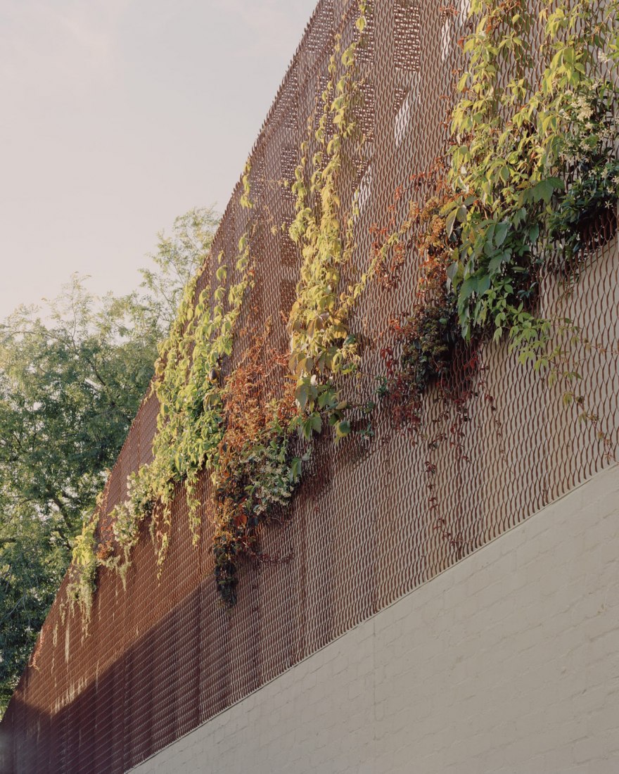 Dialogue with an elm tree and northern light. Autumn House by Studio ...