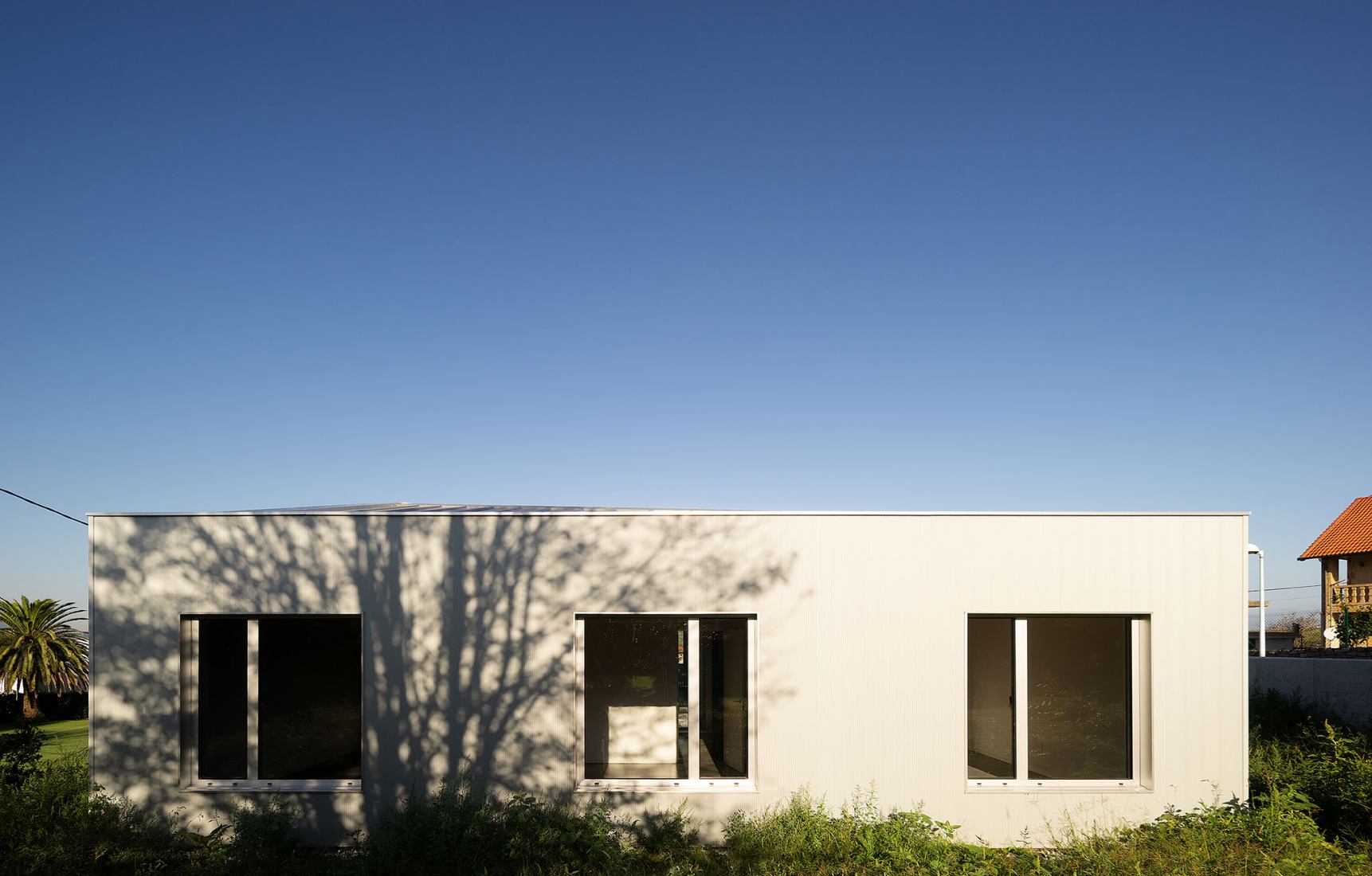 Silver-colored fish. Sula house by Sukunfuku studio | The Strength of ...