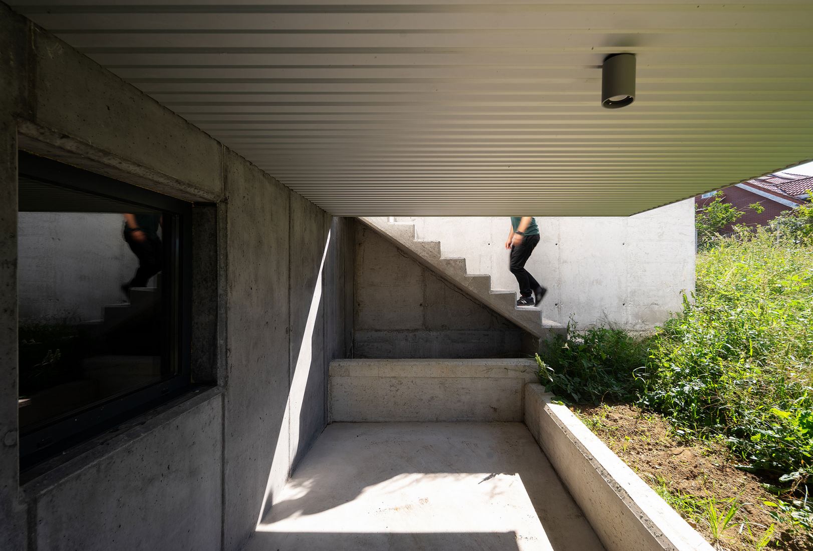 Silver-colored fish. Sula house by Sukunfuku studio | The Strength of ...