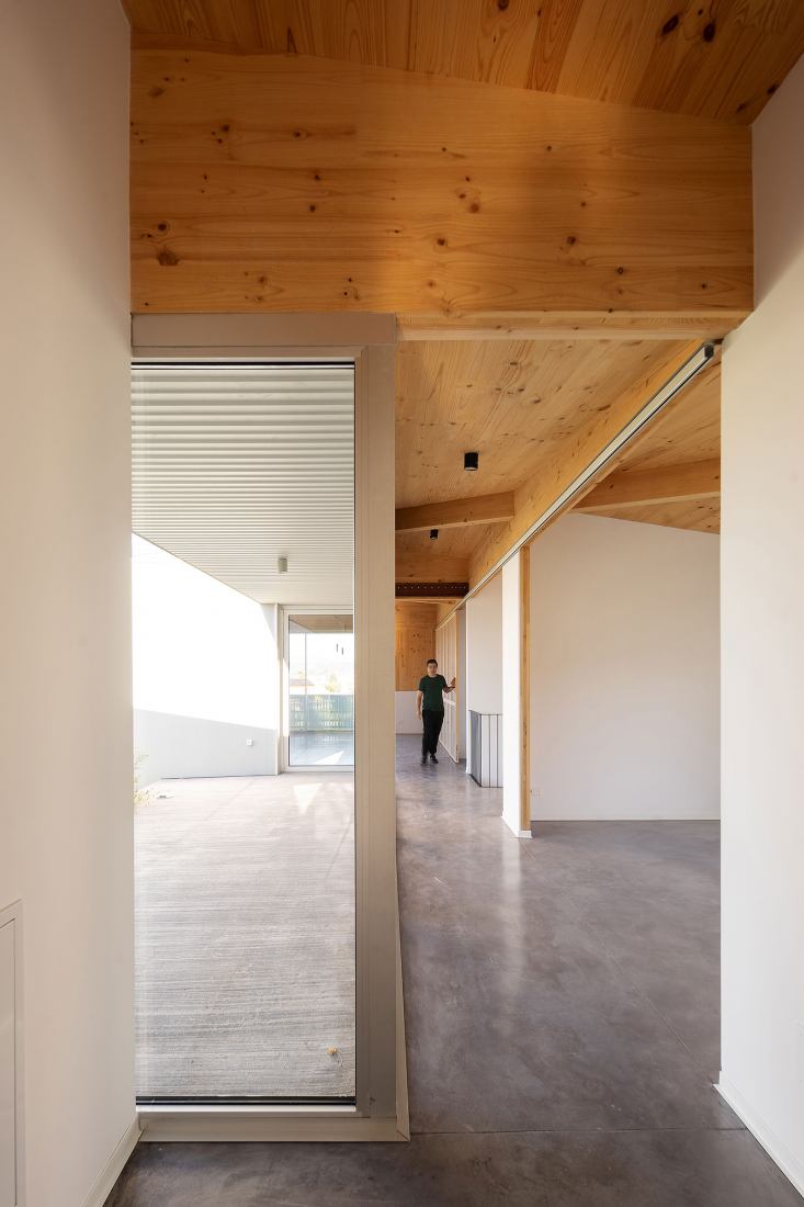 Silver-colored fish. Sula house by Sukunfuku studio | The Strength of ...
