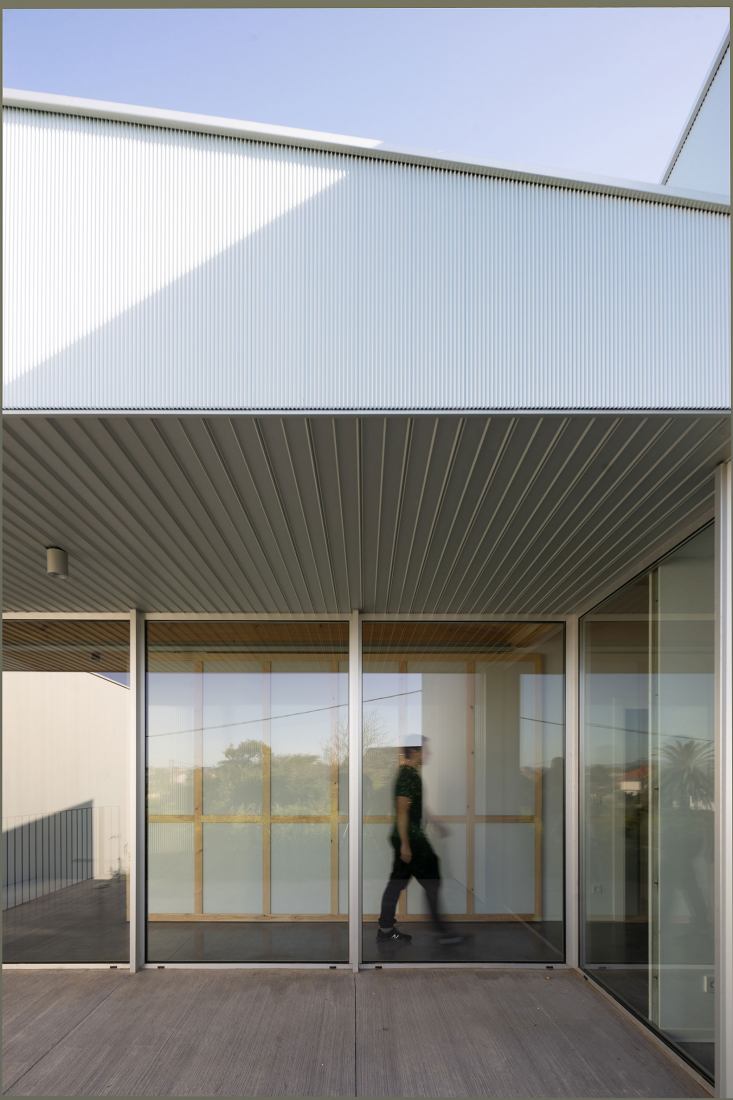 Silver-colored fish. Sula house by Sukunfuku studio | The Strength of ...