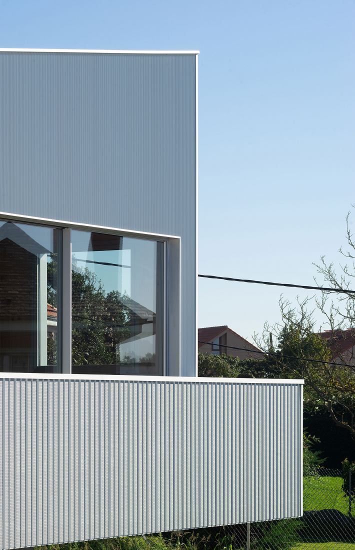 Silver-colored fish. Sula house by Sukunfuku studio | The Strength of ...
