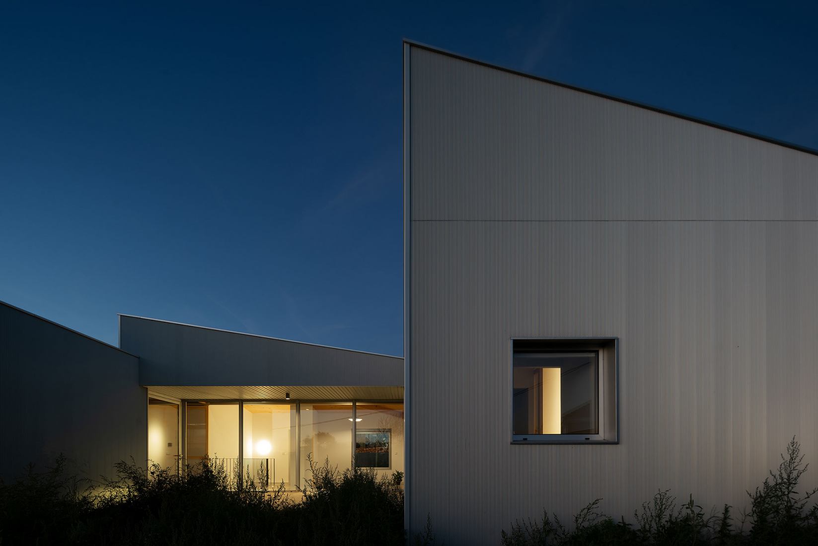 Silver-colored fish. Sula house by Sukunfuku studio | The Strength of ...