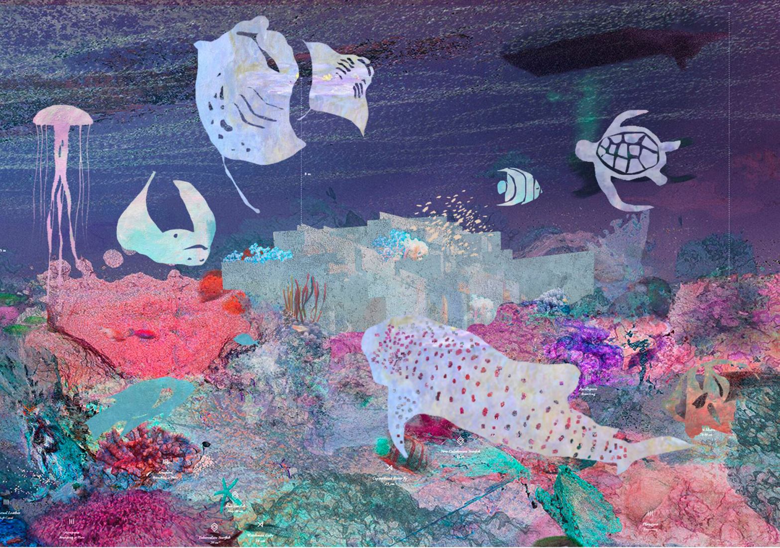 Sea of Cortez Research Center. Mazatlán Aquarium on the shores of ...