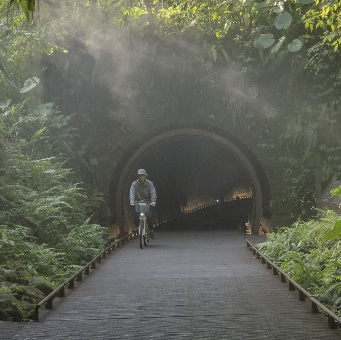 CODA. The Dark Line by Michèle & Miquel and dA VISION DESIGN | The ...