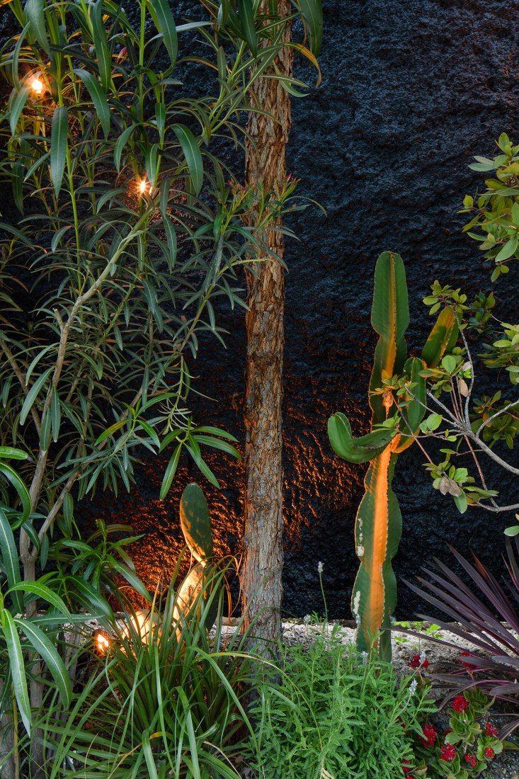 Escenarios postcovid, entre la naturaleza y la industria. El Jardín de ...