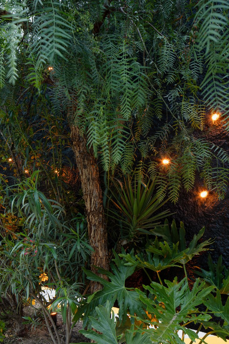 Escenarios postcovid, entre la naturaleza y la industria. El Jardín de ...