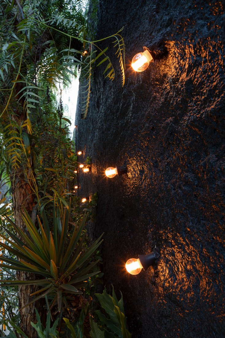 Escenarios postcovid, entre la naturaleza y la industria. El Jardín de ...