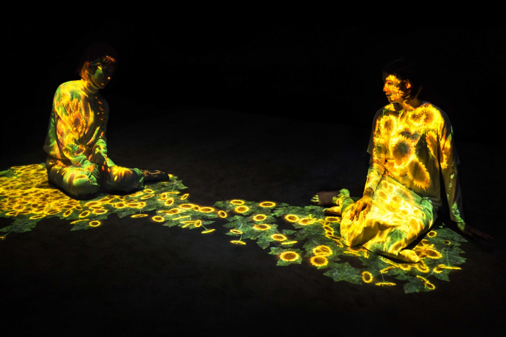 Flutter of Butterflies Beyond Borders, Ephemeral Life | The Strength of ...