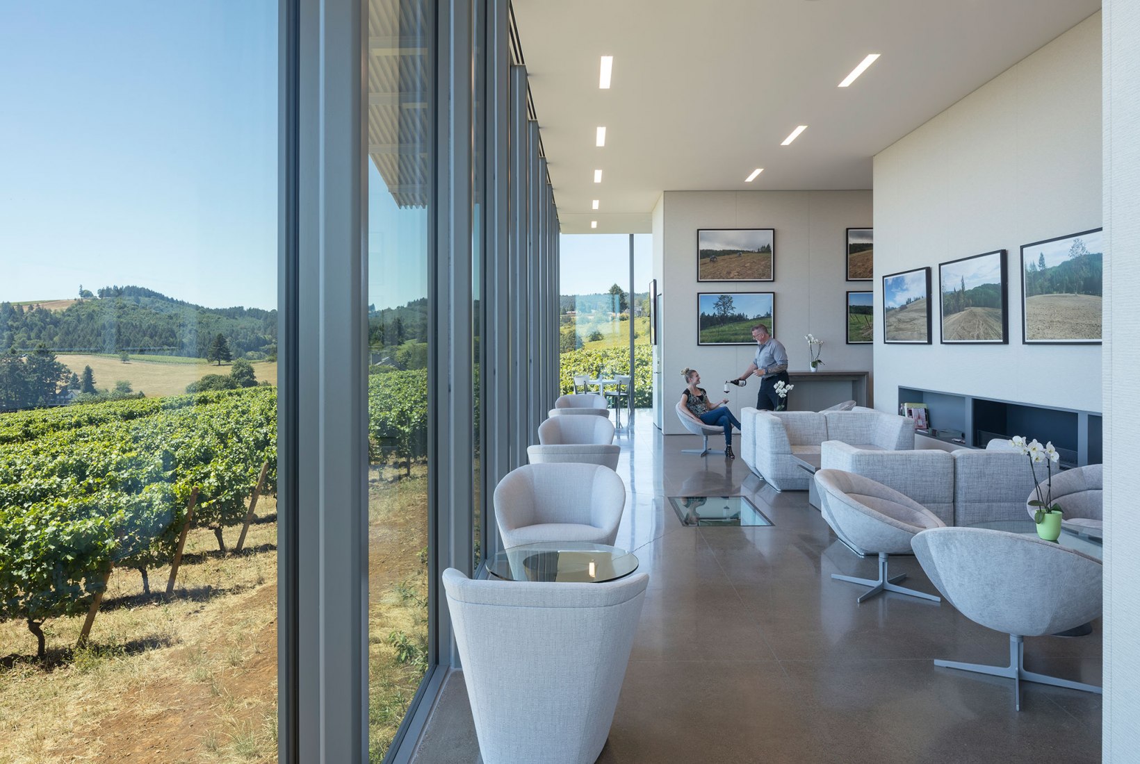 Reunification and expansion of a vineyard. Furioso Vineyards by Waechter Architecture | The ...