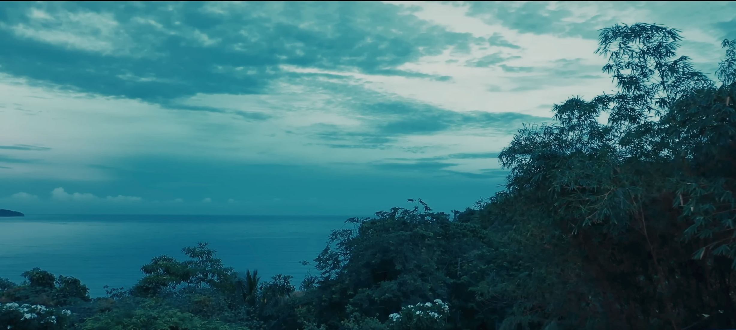 The beauty of the Southeast Asian jungle. Ylang Ylang by FKJ | The ...