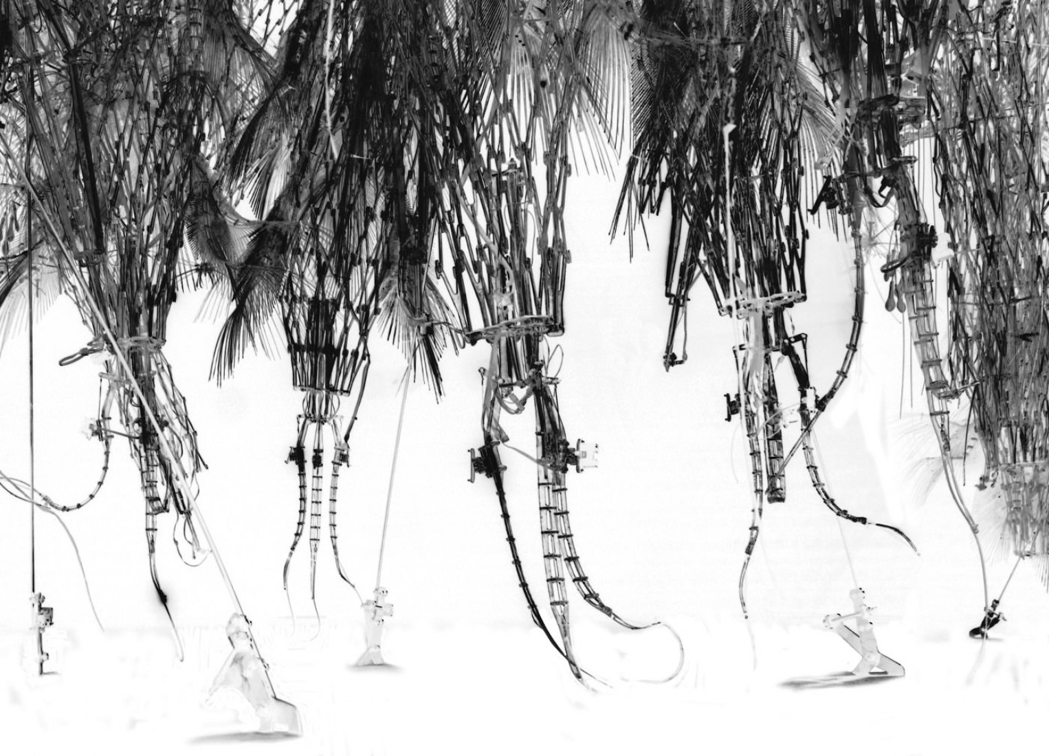 Arquitectura regenerativa y sensible [II]. HYLOZOIC SERIES: BOSQUE ...