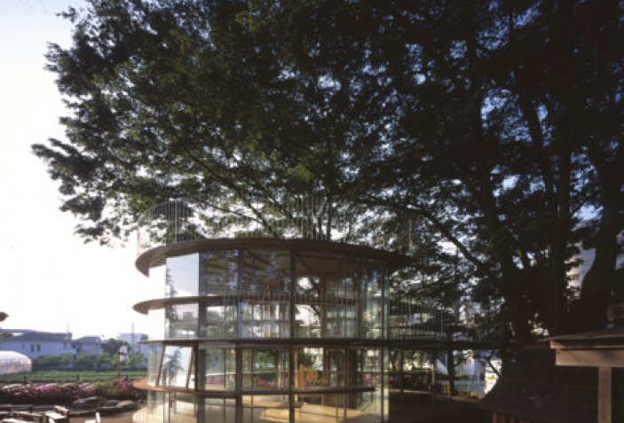 Ring Around a Tree. In Detail | The Strength of Architecture | From 1998