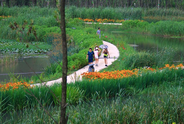 Liupanshui Minghu Wetland Park by Turenscape | The Strength of ...
