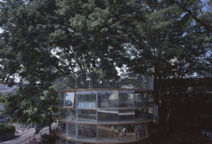 Ring Around a Tree. In Detail | The Strength of Architecture | From 1998
