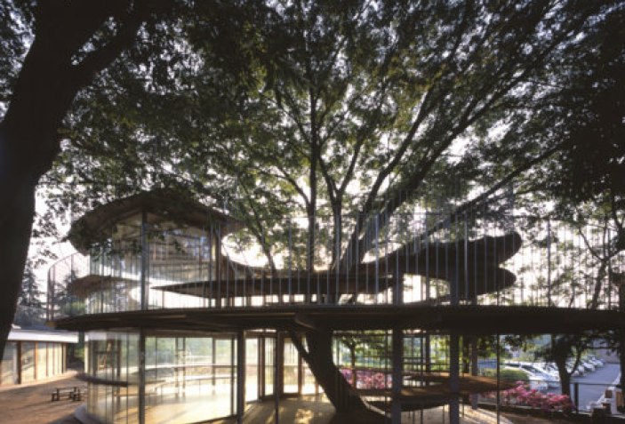 Ring Around a Tree. In Detail | The Strength of Architecture | From 1998