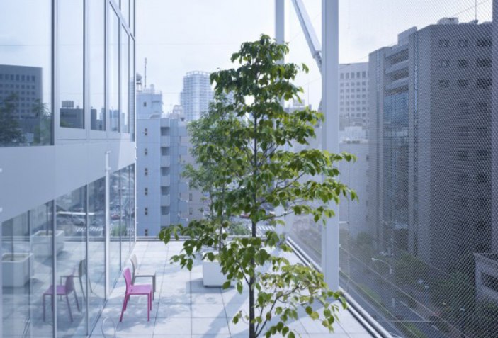 [II] SHIBAURA HOUSE in Tokyo by Kazuyo Sejima | The Strength of ...