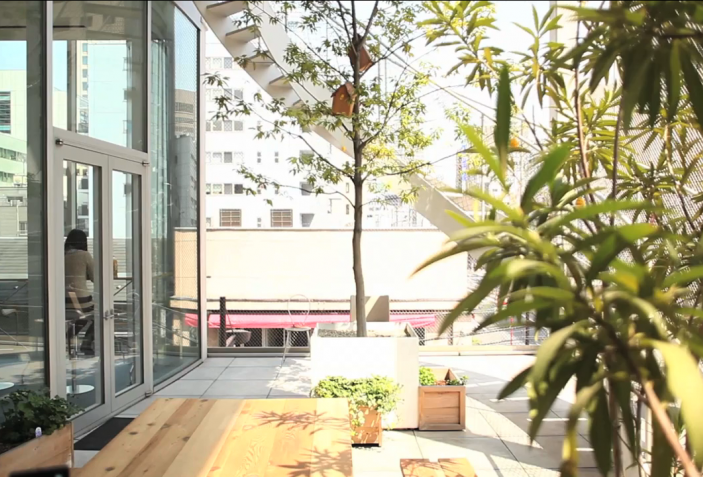 [Japan Collection #4] Shibaura House by Kazuyo Sejima | The Strength of ...