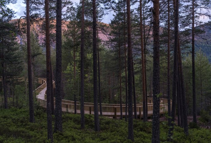 Walkway through the environment. Hamaren Activity Park by EFFEKT | The ...