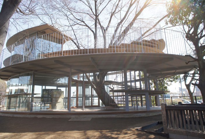 Ring Around a Tree. In Detail | The Strength of Architecture | From 1998