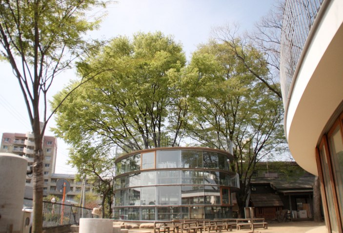 Ring Around a Tree. In Detail | The Strength of Architecture | From 1998