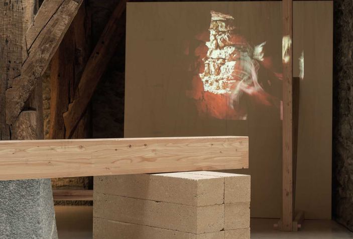 A rhizomatic idea. RHIZOMA by Garbizu Collar Architects, KRI, and Diego ...