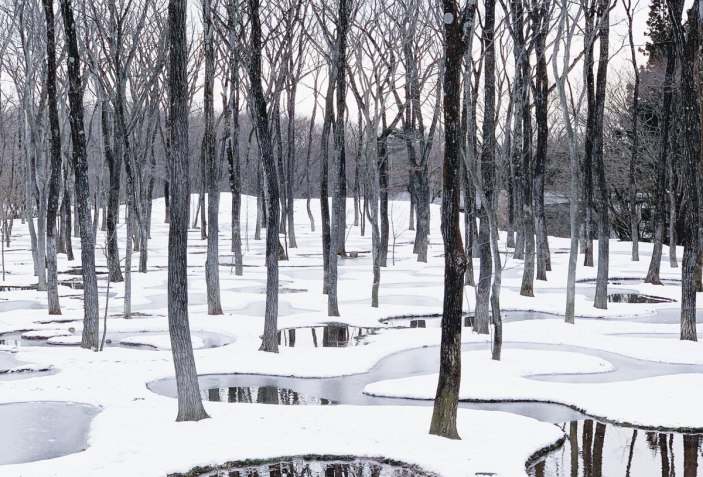 Stunning Japanese Landscape. The Water Garden by Junya Ishigami | The ...