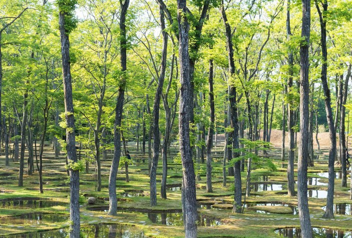 Stunning Japanese Landscape. The Water Garden by Junya Ishigami | The ...