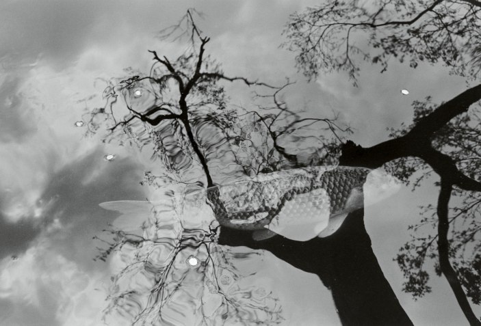 Lee Friedlander: A Perfect Framing of American Everyday Life | The ...