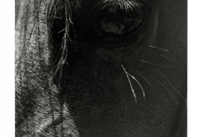 “Consuelo Kanaga: catching the spirit”, the first retrospective of the ...