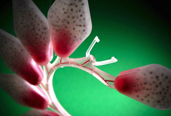 Neo Fruit by Meydan Levy. Suggested for future food consumption | The ...