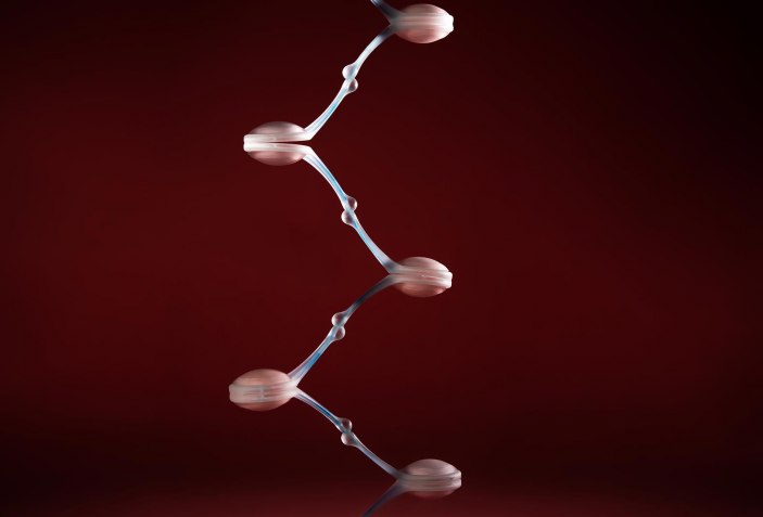 Neo Fruit by Meydan Levy. Suggested for future food consumption | The ...