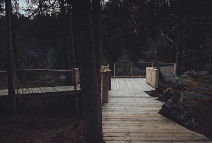 Una pasarela en el bosque como espacio para el arte. Okulus por Rintala ...