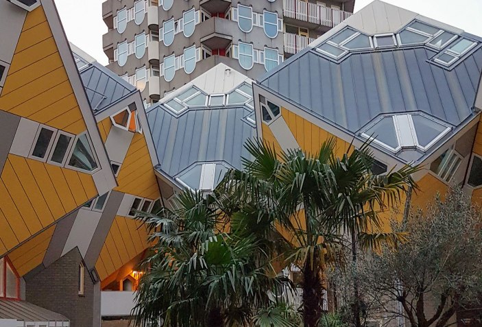 Residential urban forest in the heart of Rotterdam. Kubuswoningen by ...