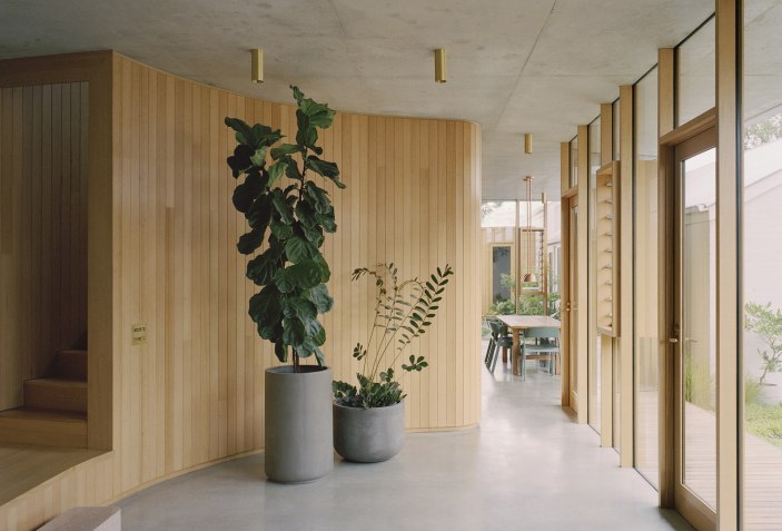 Dialogue with an elm tree and northern light. Autumn House by Studio ...