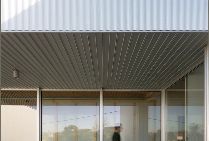 Pez de color plata. Casa Sula por Sukunfuku studio | Sobre Arquitectura ...