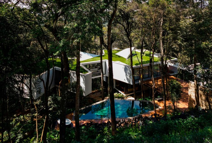 Lifted up into the sky above natural life. Açucena House by TETRO ...