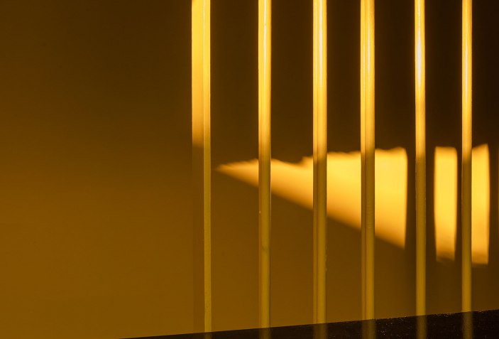 Escenarios postcovid, entre la naturaleza y la industria. El Jardín de ...