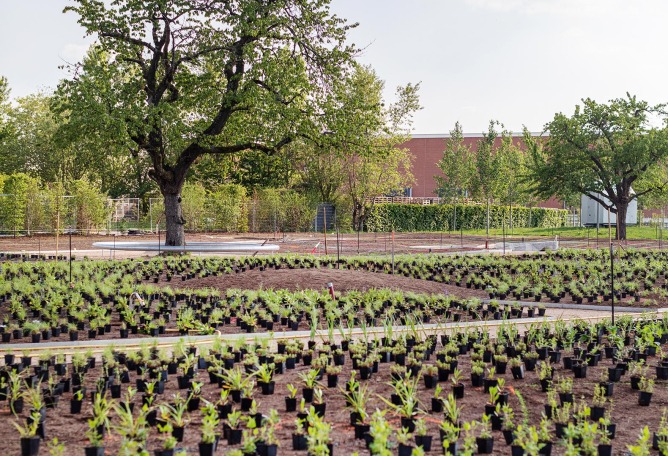 A garden by Piet Oudolf, a new project at Vitra Campus | The Strength ...