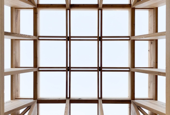Structure revealed. House Anton II by Lux Architect + Cánovas ...
