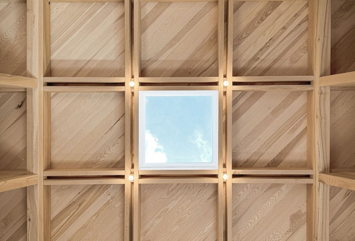 Structure revealed. House Anton II by Lux Architect + Cánovas ...