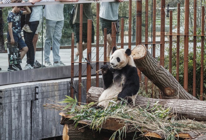 Yin-Yang Shaped Panda house for the Copenhagen Zoo by BIG | METALOCUS