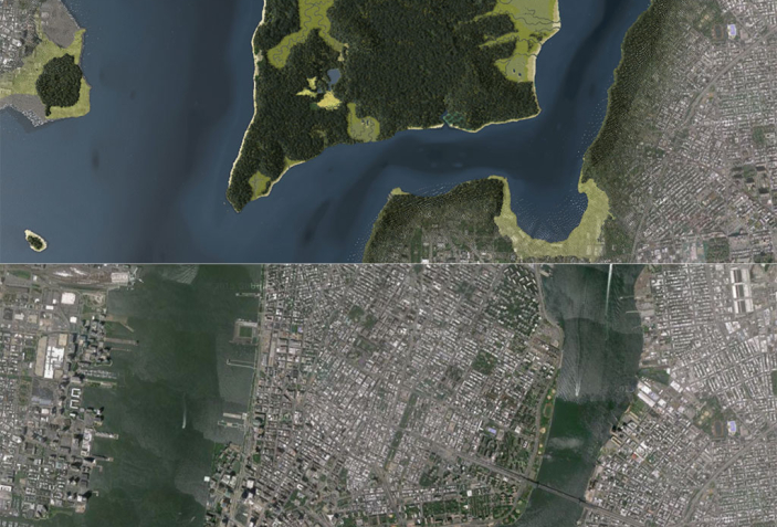 Manhattan, a forest before a crystal jungle | METALOCUS