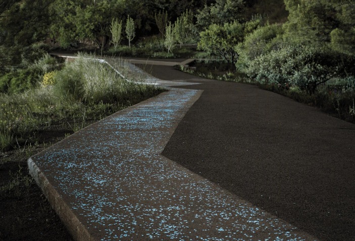 Landscaping project of the year. Luminescent concrete trail at Old ...