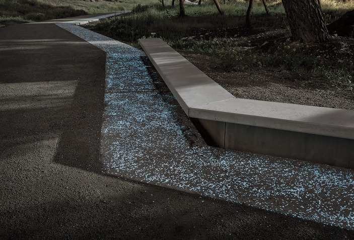Landscaping project of the year. Luminescent concrete trail at Old ...