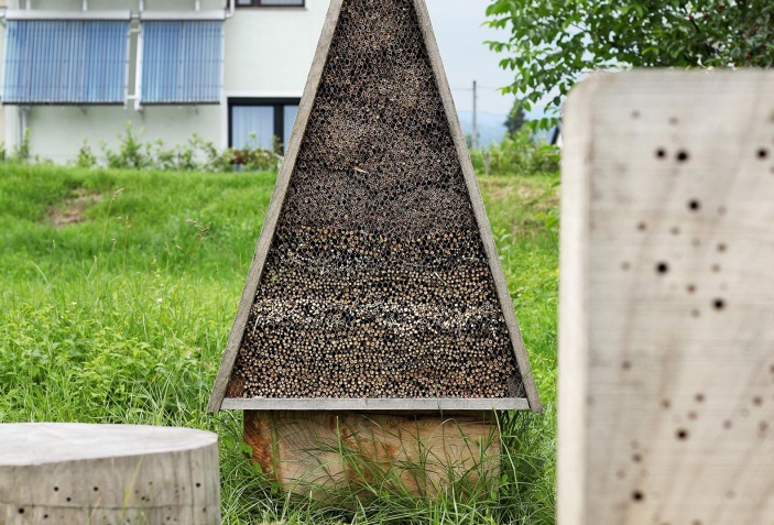 Entre lo cotidiano y extraordinario del arte público y la naturaleza ...
