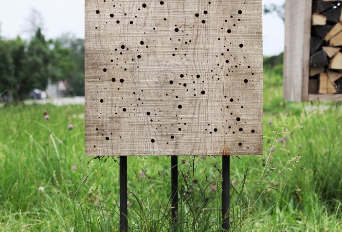 Entre lo cotidiano y extraordinario del arte público y la naturaleza ...