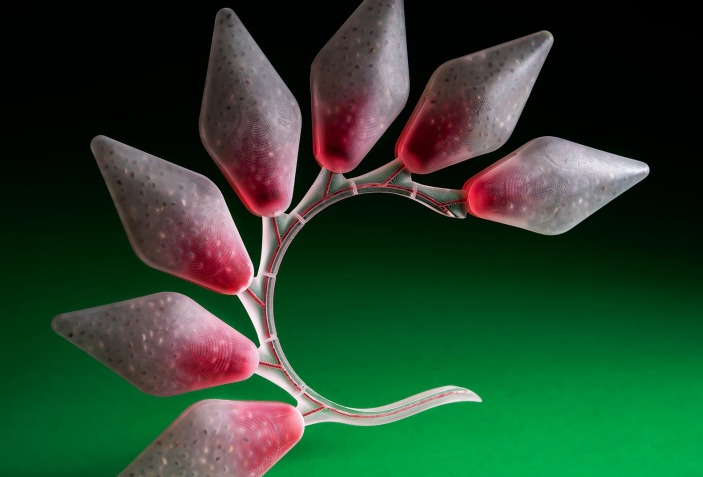 Neo Fruit by Meydan Levy. Suggested for future food consumption | METALOCUS